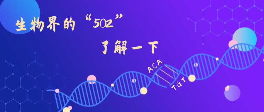 分子克隆解决方案 克隆表达全套解决方案 克隆引物解决方案